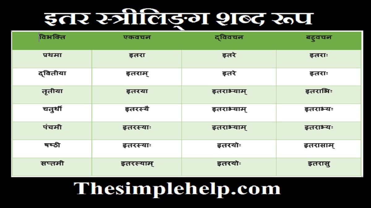 इतर शब्द के स्‍त्रीलिङ्ग शब्द रूप | Itar Ke strilling Shabd Roop in ...